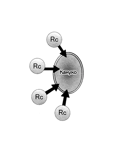 Какухо | Токийский Гуль | Fandom
