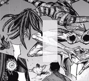 Shikorae | Tokyo Ghoul Wiki | Fandom