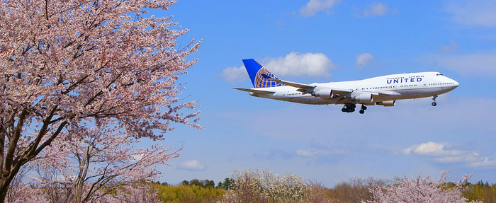 Grand Tokyo Entry Timeline | Tokyo JET Wikia | Fandom