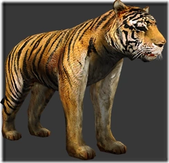 Tiger | Tokyo Jungle Wiki | Fandom