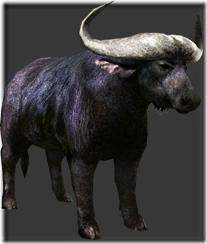 Buffalo | Tokyo Jungle Wiki | Fandom
