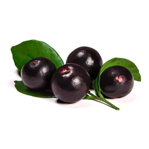 Food Guide | Tokyo Mew Mew Fanon Wiki | Fandom