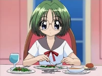 Retasu Midorikawa | Tokyo Mew Mew Fanon Wiki | Fandom