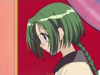 Retasu Midorikawa | Tokyo Mew Mew Fanon Wiki | Fandom