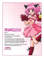 Mew Mew Power | Tokyo Mew Mew Wiki | Fandom