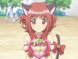 Category:Weapons | Tokyo Mew Mew Wiki | Fandom