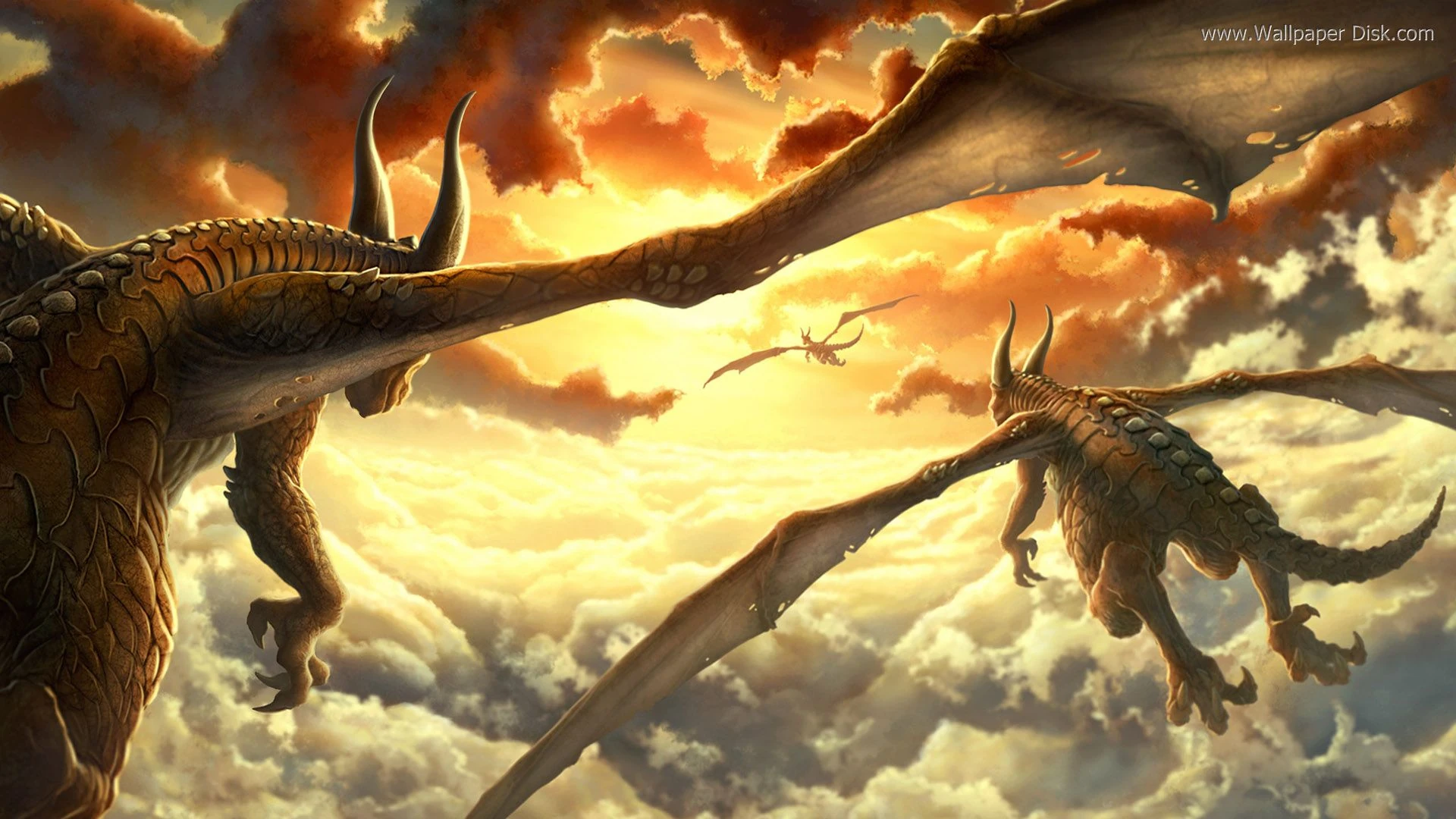 Flying Dragon Wallpaper