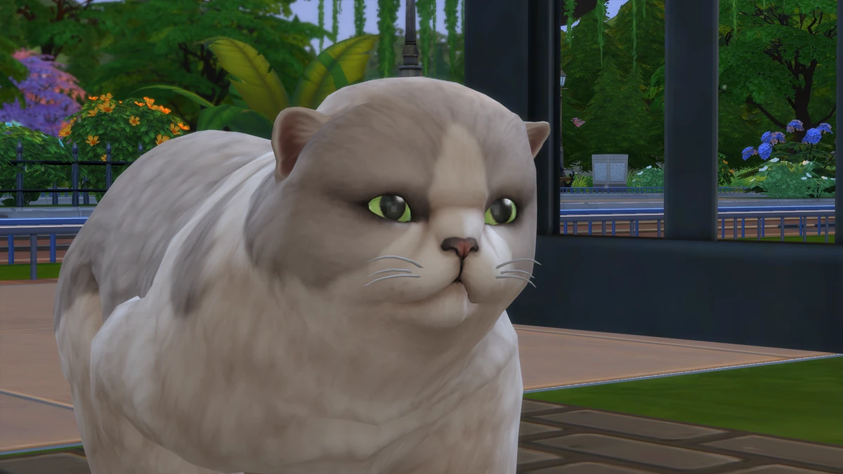 Carson | Tolbert community | Fandom