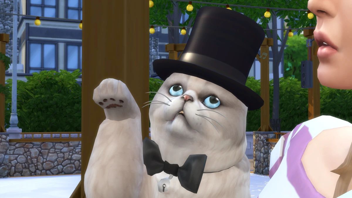 Cooper | Tolbert community | Fandom