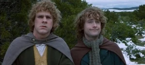 Pippin's relationships | Tolkien Films Wikia | Fandom