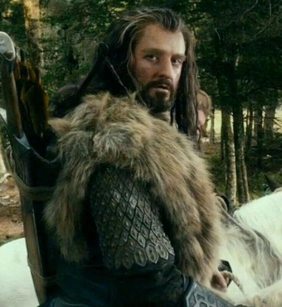 Thorin Oakenshield (Middle-Earth Film Saga) Gallery | Tolkien Films ...