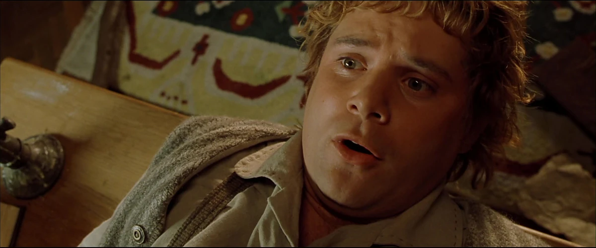 Samwise Gamgee | Tolkien Middle Earth Cinematic Universe Wiki | Fandom