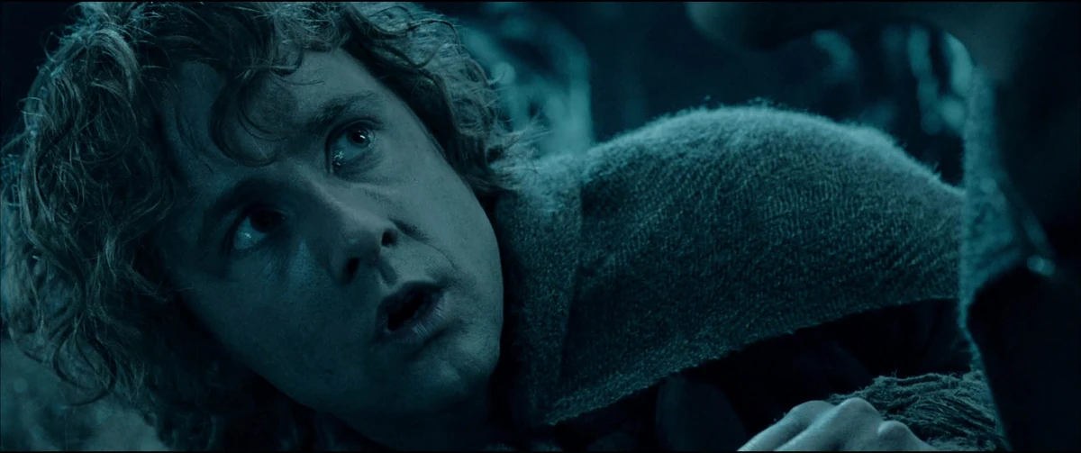 Pippin Took | Tolkien Middle Earth Cinematic Universe Wiki | Fandom