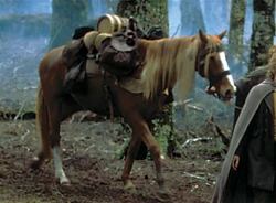 Bill | Tolkienpedia | Fandom