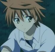 Rito Yuuki | To love ru Wiki | Fandom