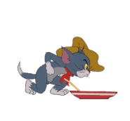 Cowboy Tom | Tom and Jerry: Chase Wiki | Fandom