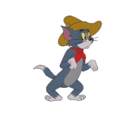 Cowboy Tom | Tom and Jerry: Chase Wiki | Fandom