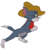 Cowboy Tom | Tom and Jerry: Chase Wiki | Fandom