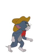 Cowboy Tom | Tom and Jerry: Chase Wiki | Fandom