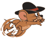 Cowboy Jerry | Tom and Jerry: Chase Wiki | Fandom