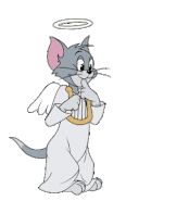 Angel Tom | Tom and Jerry: Chase Wiki | Fandom