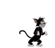 Butch | Tom and Jerry: Chase Wiki | Fandom