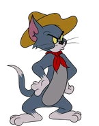 Cowboy Tom | Tom and Jerry: Chase Wiki | Fandom