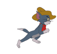 Cowboy Tom | Tom and Jerry: Chase Wiki | Fandom
