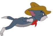 Cowboy Tom | Tom and Jerry: Chase Wiki | Fandom