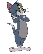 Tom | Tom and Jerry: Chase Wiki | Fandom