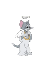 Angel Tom | Tom and Jerry: Chase Wiki | Fandom