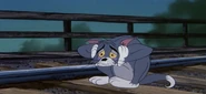 Blue Cat Blues | Tom and Jerry Wiki | Fandom