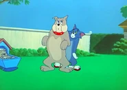 Hic-cup Pup | Tom and Jerry Wiki | Fandom