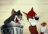 Meathead Cat | Tom and Jerry Wiki | Fandom