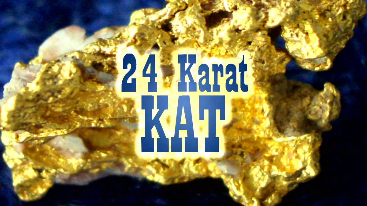 24 Karat Kat | Tom and Jerry Wiki | Fandom
