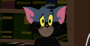 Black Cat | Tom and Jerry Wiki | Fandom