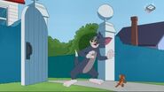 Not My Tyke | Tom and Jerry Wiki | Fandom