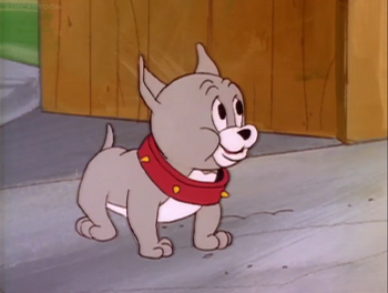 Tyke Bulldog | Tom and Jerry Wiki | Fandom