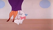 Calypso Cat | Tom and Jerry Wiki | Fandom