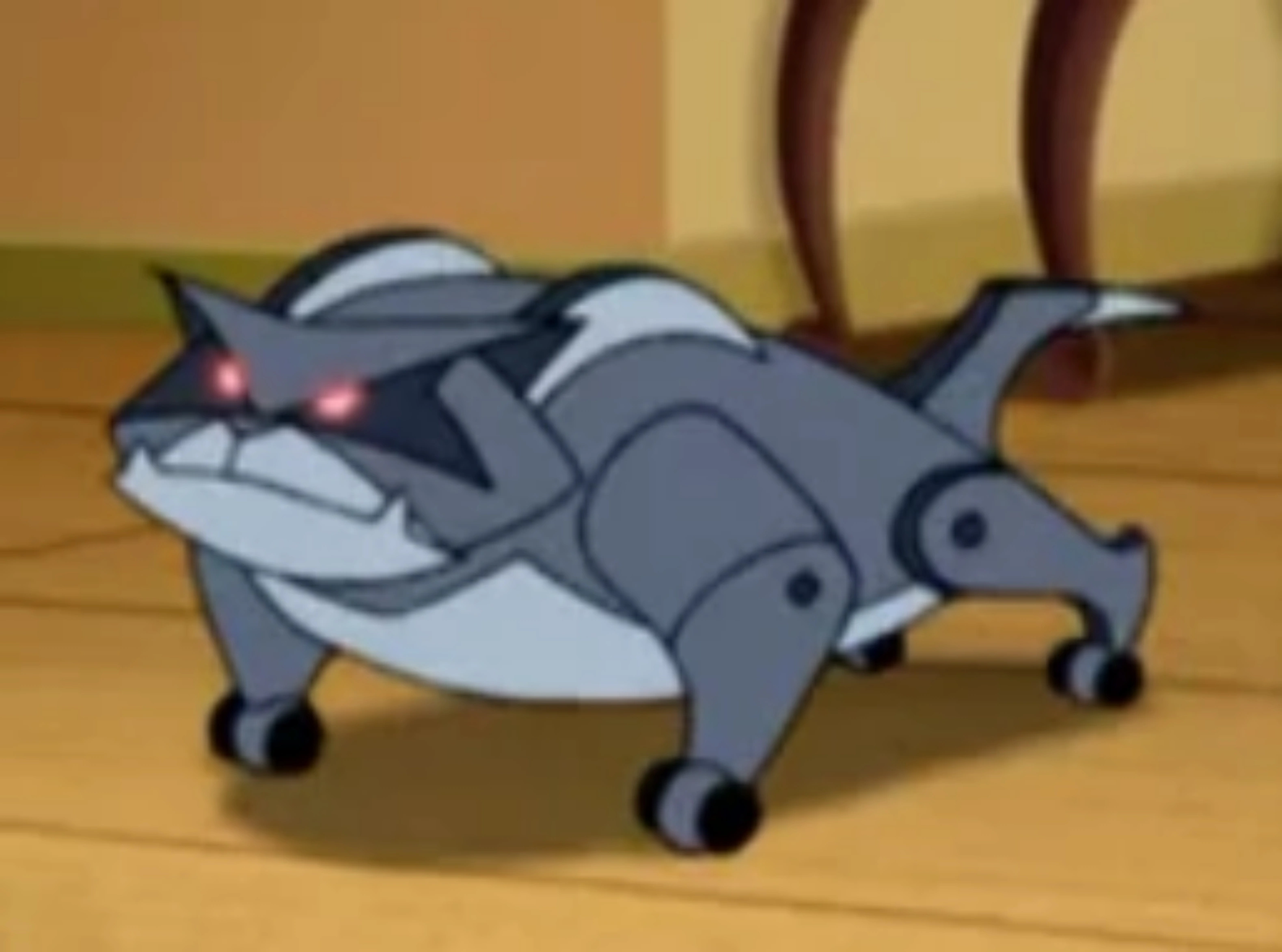 Category:Cats | Tom and Jerry Wiki | Fandom