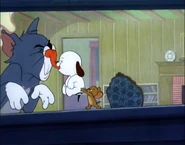 Puppy (Puppy Tale) | Tom and Jerry Wiki | Fandom