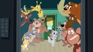 Misty | Tom and Jerry Wiki | Fandom