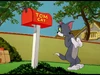 Life with Tom/Gallery | Tom and Jerry Wiki | Fandom