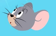 The Tom and Jerry Show (2014) | Tom and Jerry Wiki | Fandom