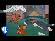 Tom and Jerry Wiki | Fandom