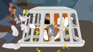 Screwy Squirrel/Gallery | Tom and Jerry Wiki | Fandom