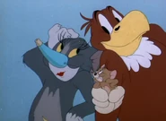 Flirty Birdy | Tom and Jerry Wiki | Fandom