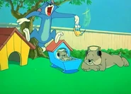 Hic-cup Pup | Tom and Jerry Wiki | Fandom