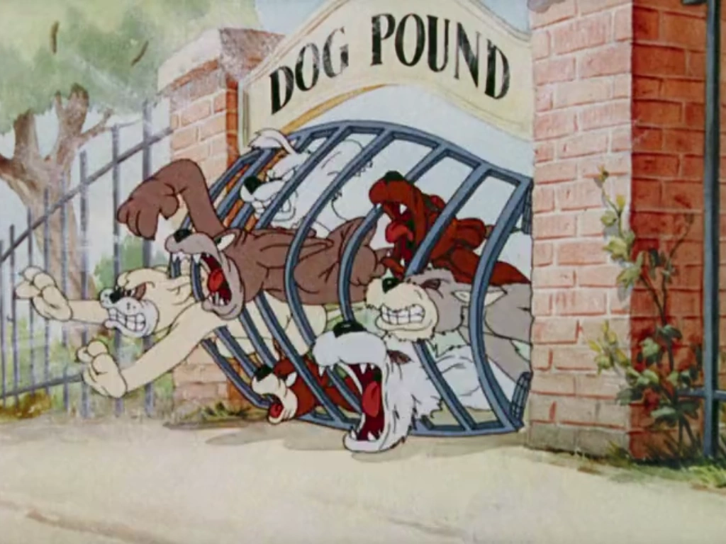 Dog Pound residents | Tom and Jerry Wiki | Fandom