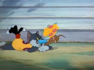 Flirty Birdy | Tom and Jerry Wiki | Fandom